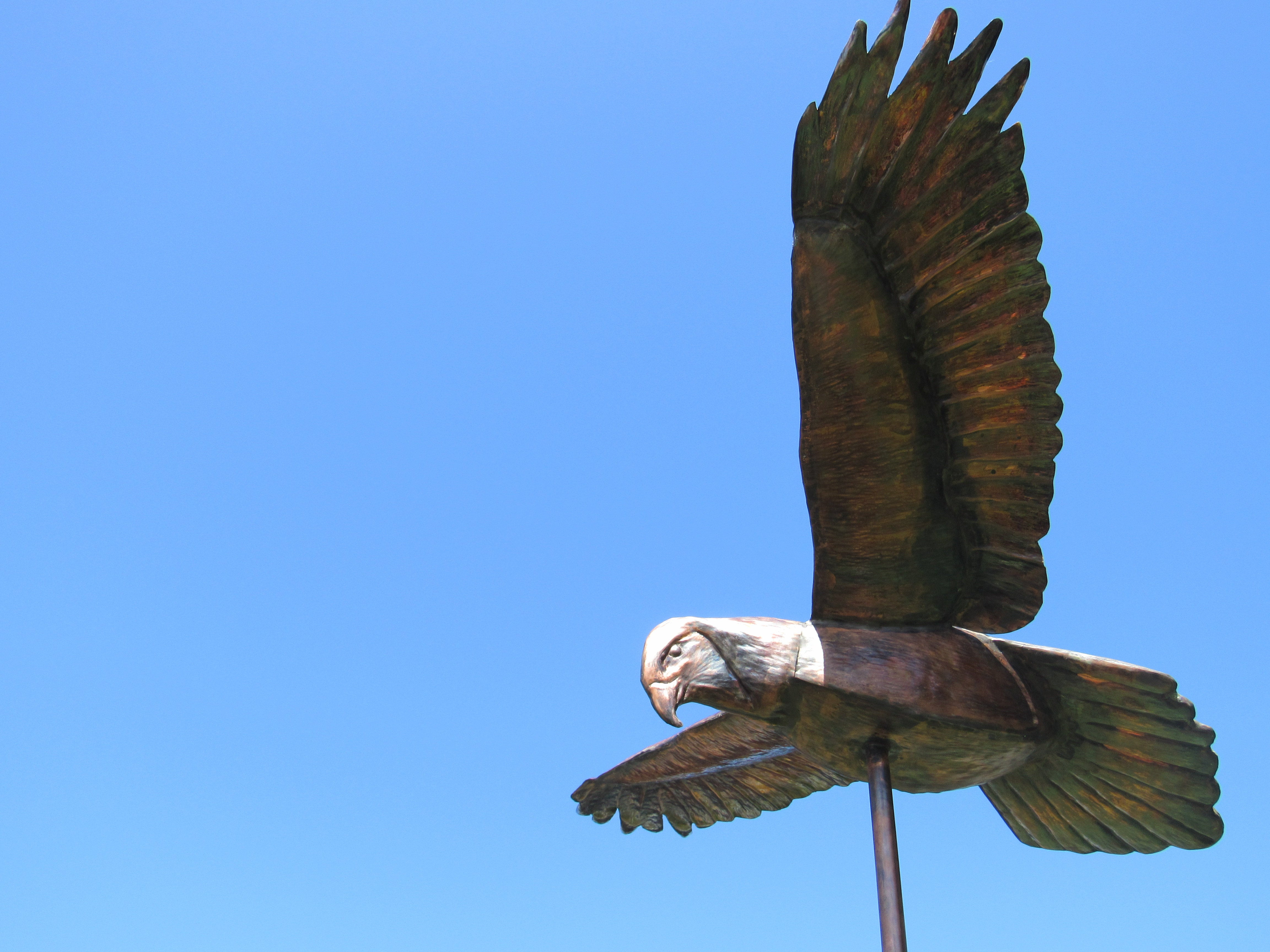 Red Tailed Hawk, Copper Weathervane, Rooftop Weathervane, Large ...